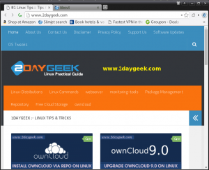 Install Slimjet (8.0) Web Browser on Linux | 2DayGeek