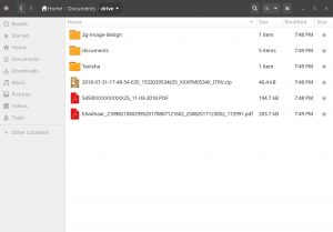 DriveSync - Easy Way to Sync Files Between Local And Google Drive from Linux CLI | 2DayGeek