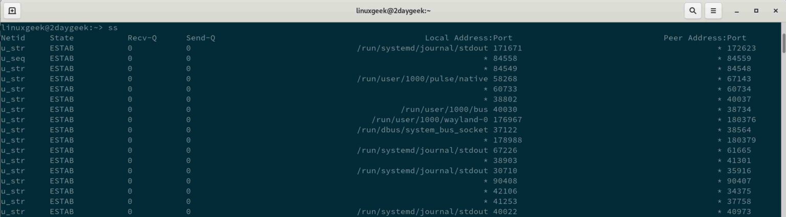 How to monitor Socket connections using ss command | 2DayGeek