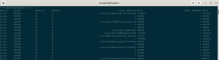 How to monitor Socket connections using ss command | 2DayGeek