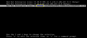 How to boot RHEL 8 system into Rescue mode | 2DayGeek